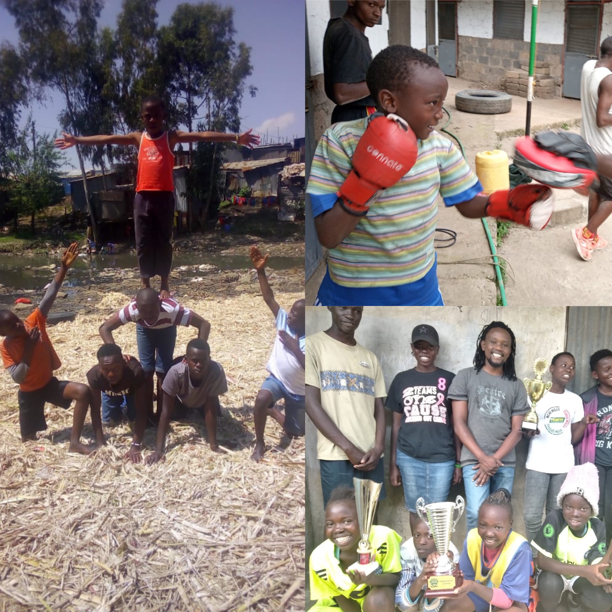 More Urban farming and mental health in Nairobi’s slums – Go Kenya, go ...