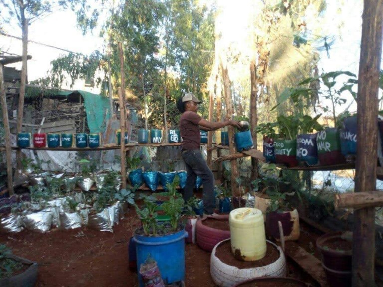 More Urban farming and mental health in Nairobi’s slums – Go Kenya, go ...