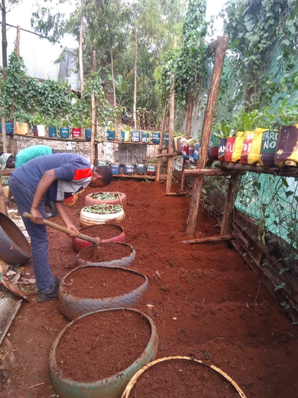 More Urban farming and mental health in Nairobi’s slums – Go Kenya, go ...