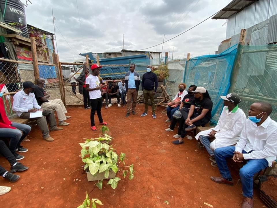 Urban farming tours to spread the knowledge in the slums – Go Kenya, go ...